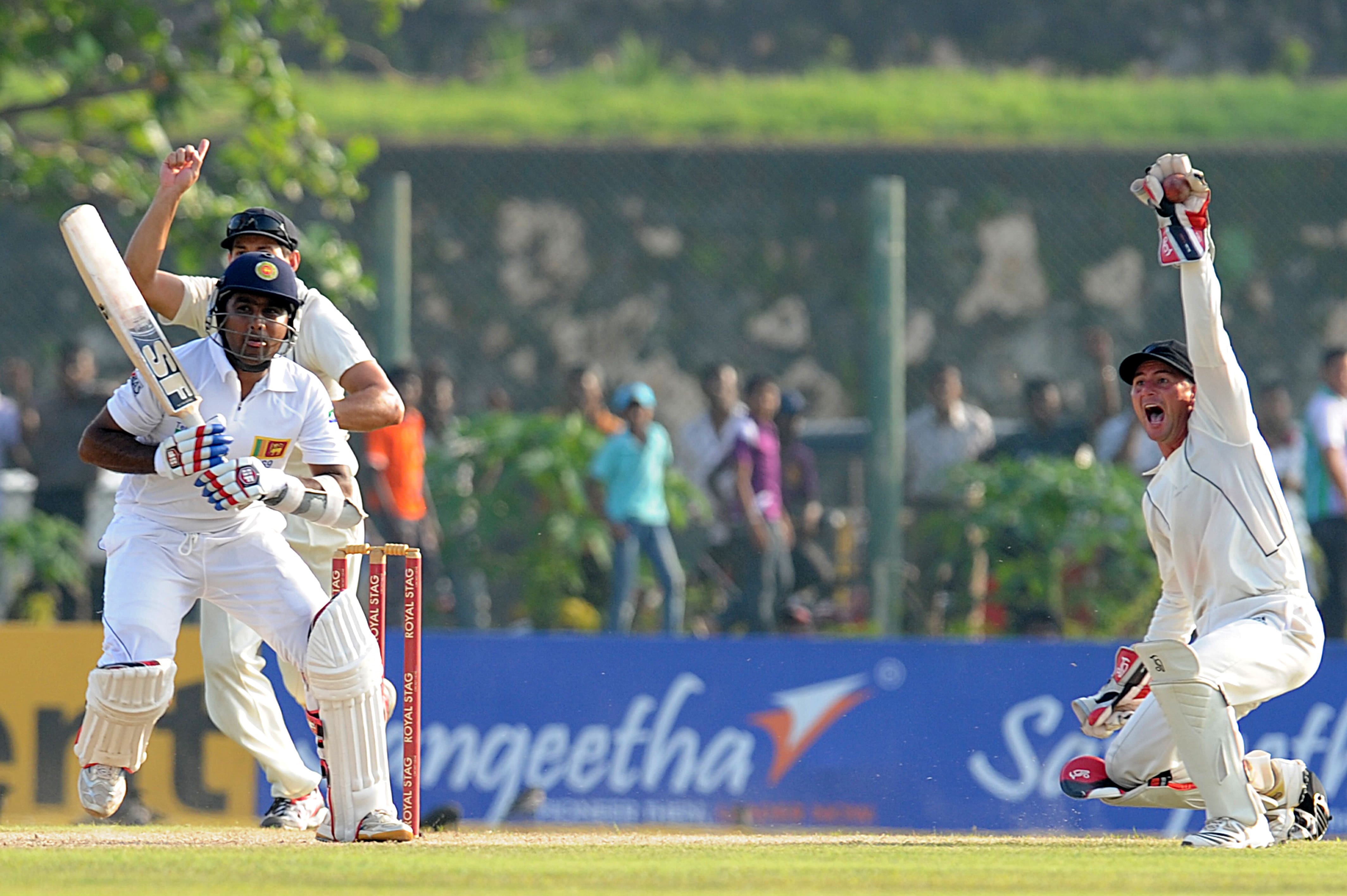 Former New Zealand wicket-keeper Kruger van Wyk announces retirement ...