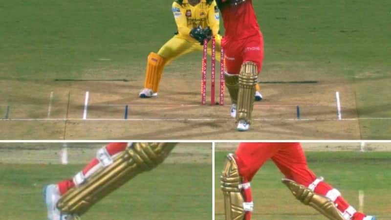 WATCH: MS Dhoni performs another lightning-fast stumping, sends Phil ...