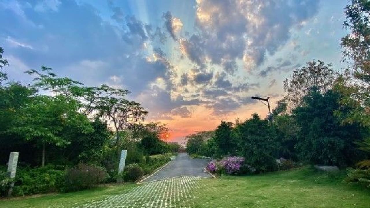 Inside photos of MS Dhoni's luxurious farmhouse, CSK star designed it ...