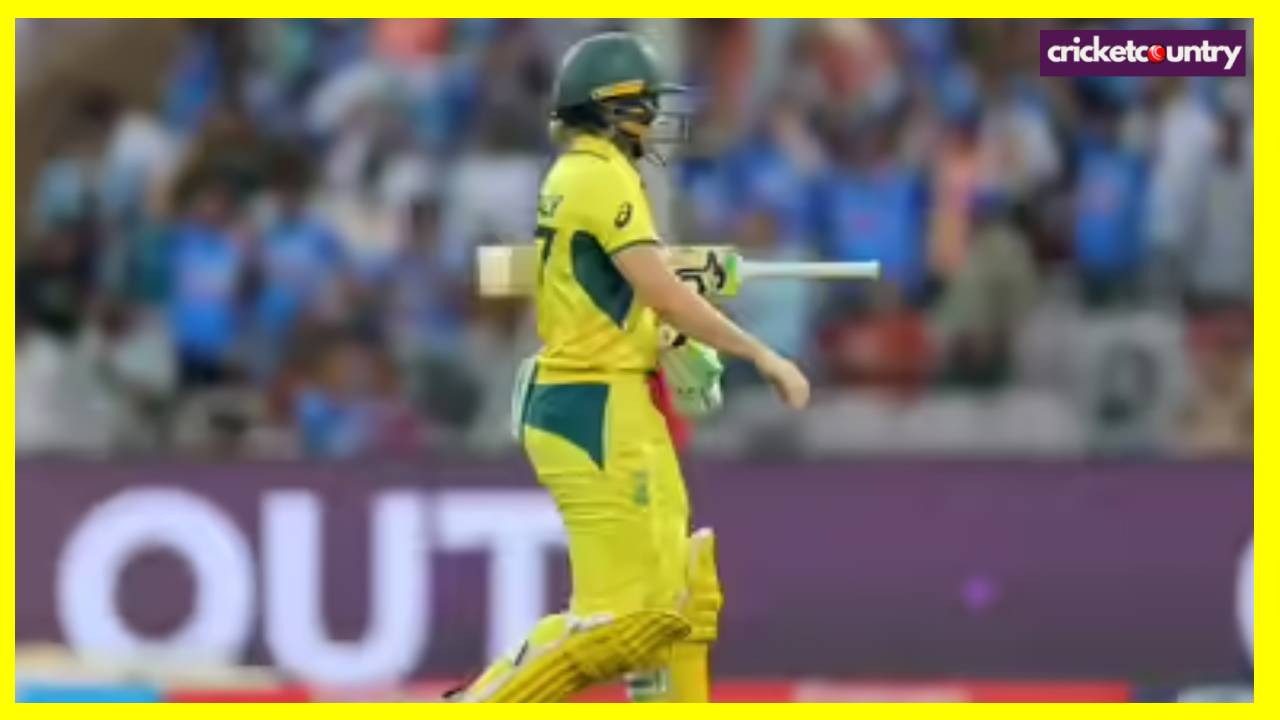 'I won’t be there!': Alyssa Healy hints at ODI retirement after ...